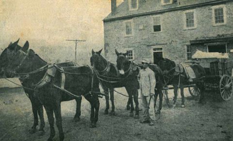 Family Owned and Operated Since 1875 - Snavely's Mill